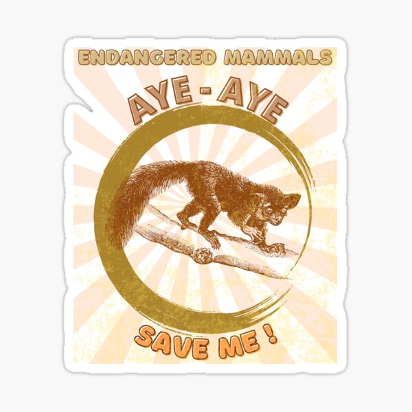 " Aye-Aye" Sticker for Sale by yassooarts | Redbubble