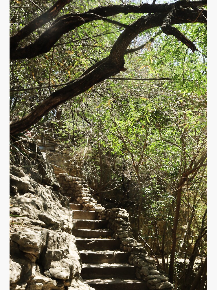 "Pathway" Sticker for Sale by AvaArtDesigns | Redbubble