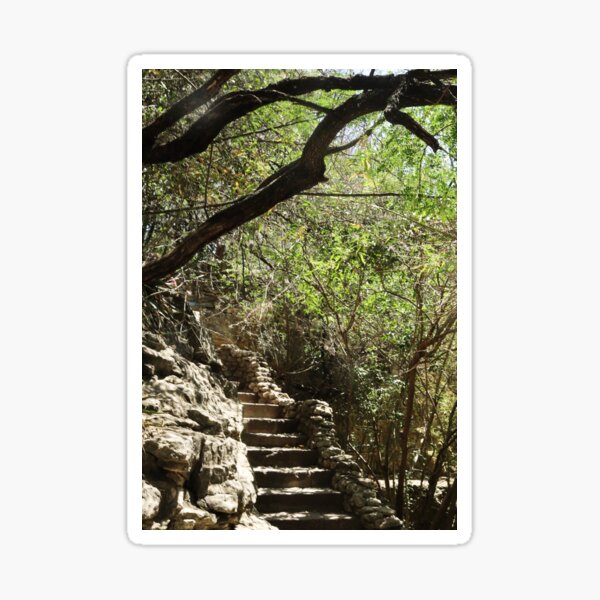 "Pathway" Sticker for Sale by AvaArtDesigns | Redbubble