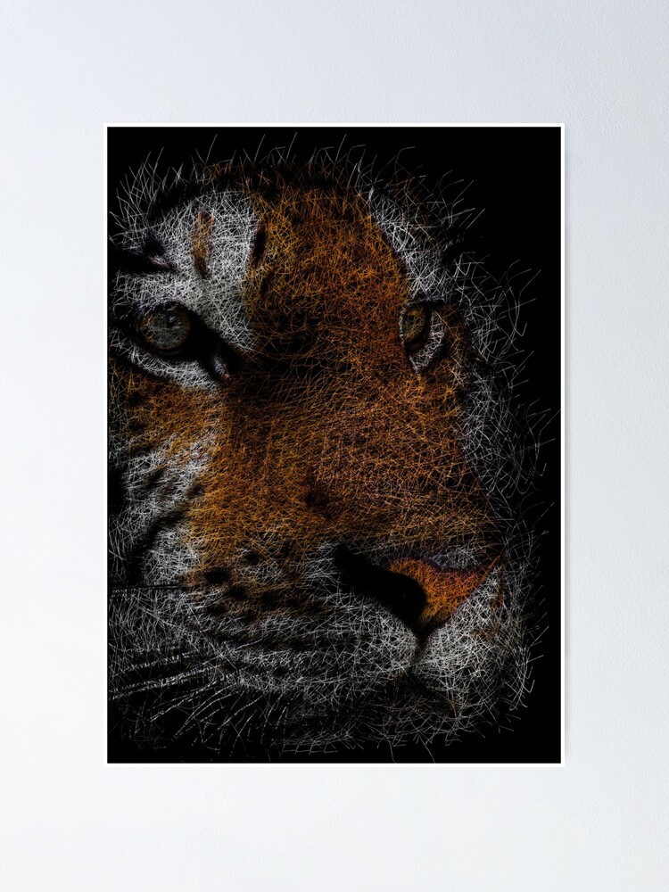 "Cool tiger scribble art" Poster for Sale by DopeDesign111 | Redbubble