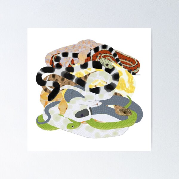 shop discount store Slither - Watercolor Snake and Woman Painting