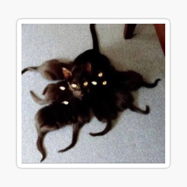 "cat cryptid" Sticker by penceyspoison | Redbubble