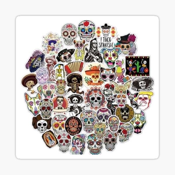 "Human skeleton " Sticker for Sale by Barnies85 | Redbubble