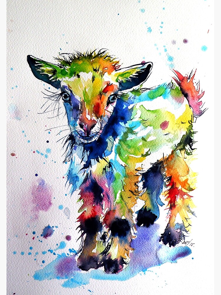 "Cute baby goat" Art Print for Sale by kovacsannabrigi | Redbubble