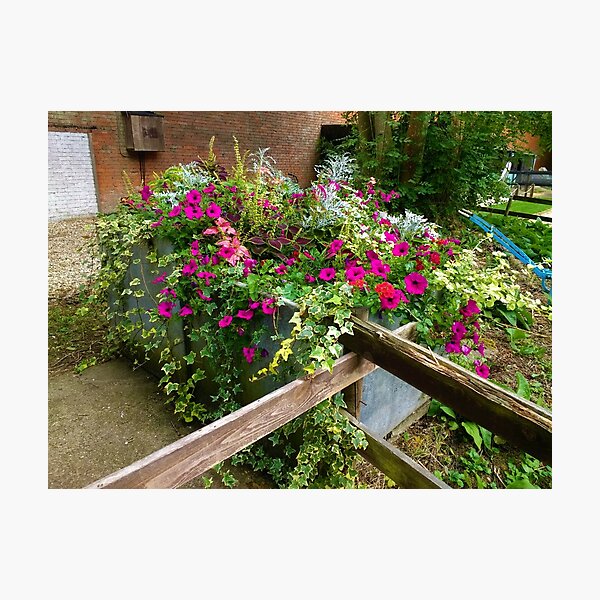 Lámina fotográfica «MI. #190 |☼| Flower Bed Box - Shot 2 (Elsham Hall ...