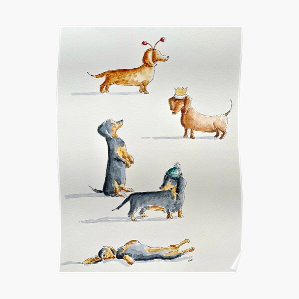 "The dachshunds" Poster for Sale by SketchingDoctor | Redbubble