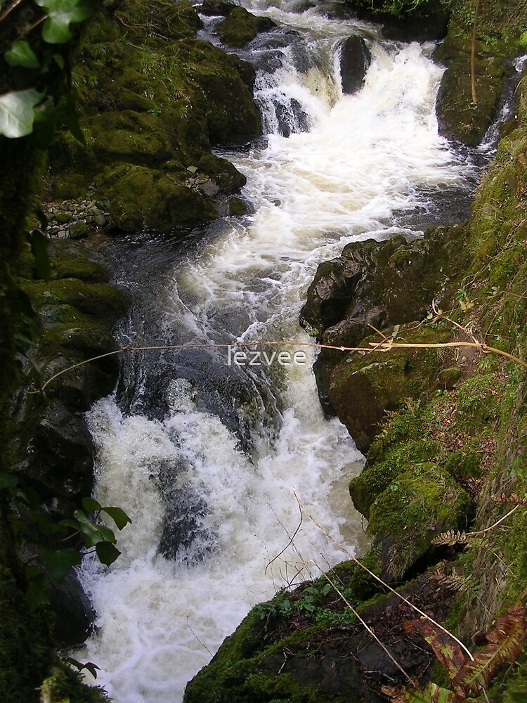 "Lydia Falls, South Brent" by lezvee | Redbubble