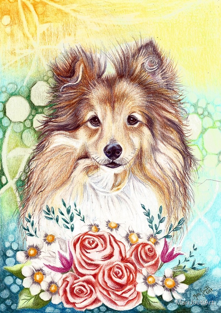 "Sweet Sheltie" by MariJuutiArt | Redbubble