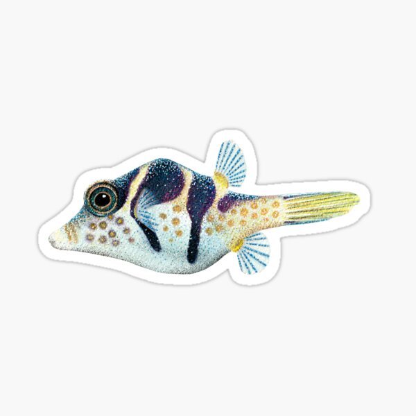 "Pufferfish" Sticker by JohannaExcell | Redbubble