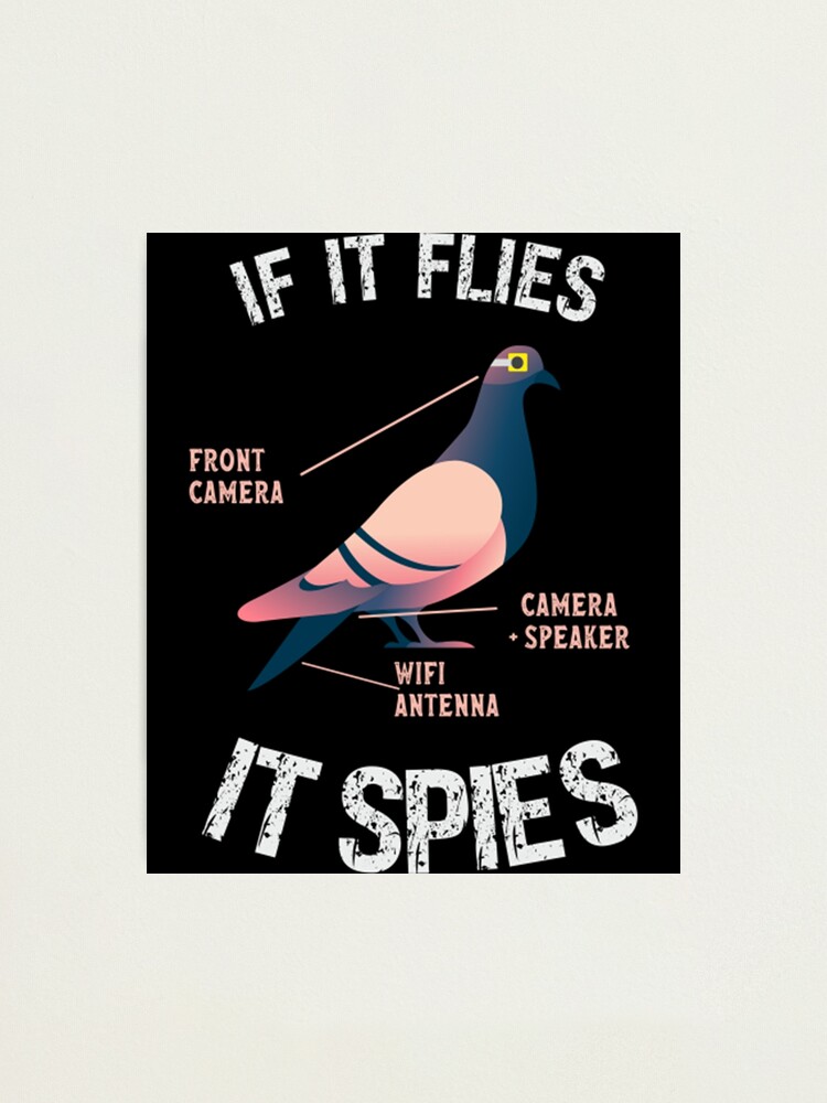 Impression photo « Si ça vole, il espionne T-shirtSi ça vole, il ...
