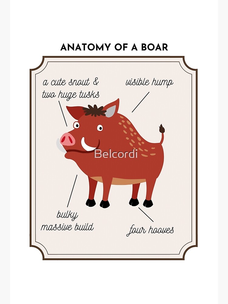 "Anatomy of a Boar" Poster for Sale by Belcordi | Redbubble