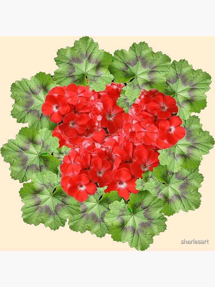 "RED GERANIUMS LEAF PATTERN CREAM COLOR ART" Poster for Sale by ...