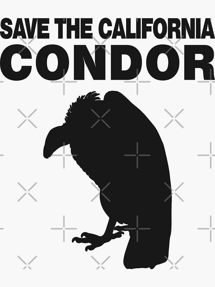 "Save the California Condor - protecting and saving endangered animals ...