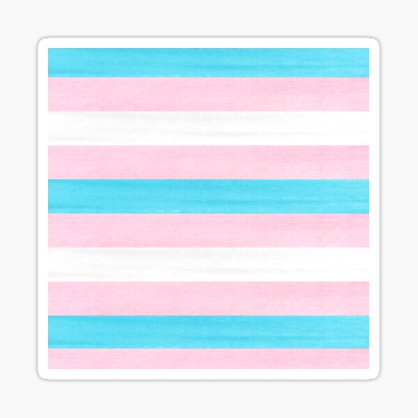 "Pride - Trans" Sticker for Sale by studiometis | Redbubble