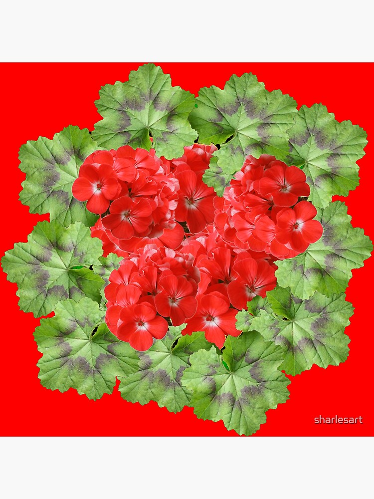 " RED GERANIUMS LEAF PATTERN RED COLOR ART" Sticker for Sale by ...