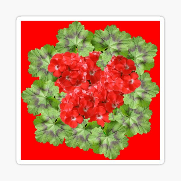 " RED GERANIUMS LEAF PATTERN RED COLOR ART" Sticker for Sale by ...