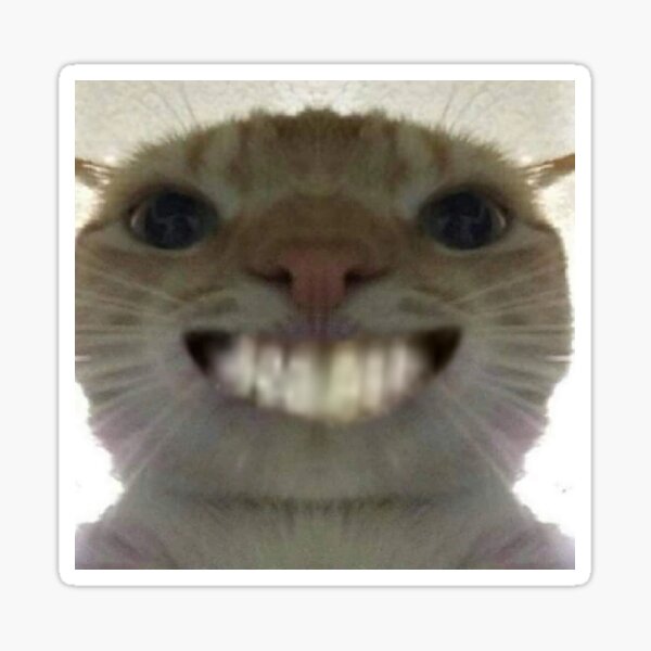 "happy cat meme" Sticker for Sale by Daltonnnico | Redbubble