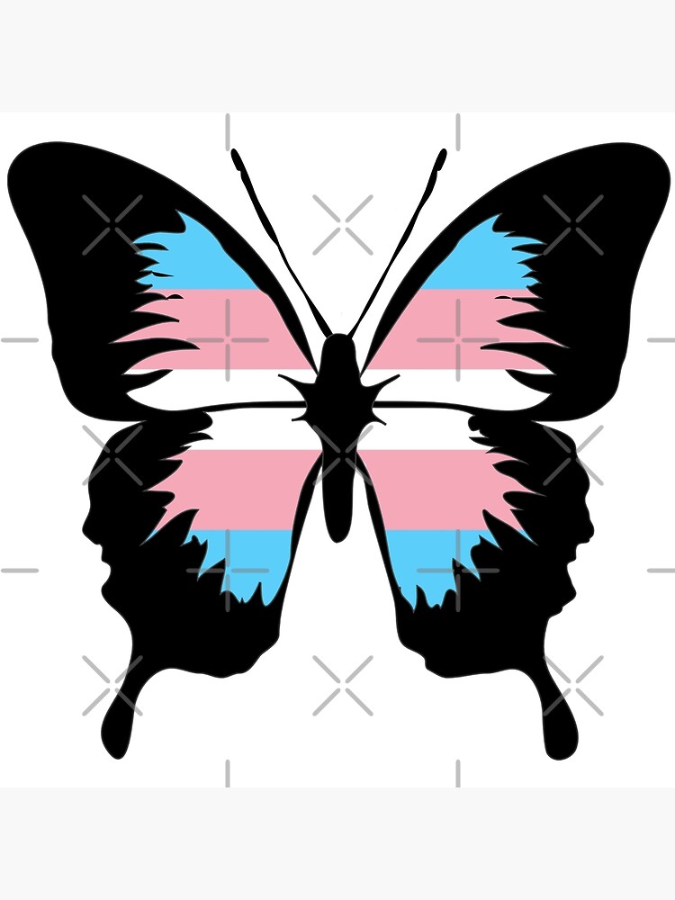 "Transgender butterfly " Poster for Sale by Naja05 | Redbubble