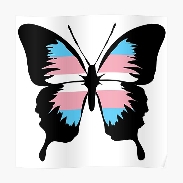 "Transgender butterfly " Poster for Sale by Naja05 | Redbubble