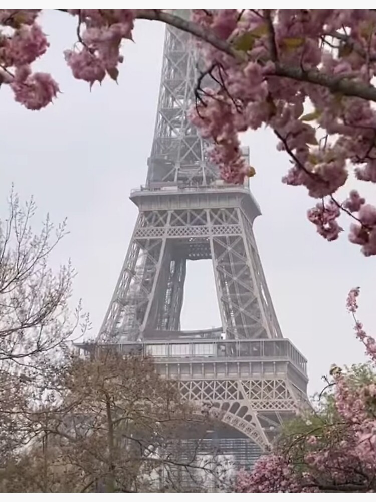 "The Feel of Paris " Sticker for Sale by Hakuna8Matata | Redbubble