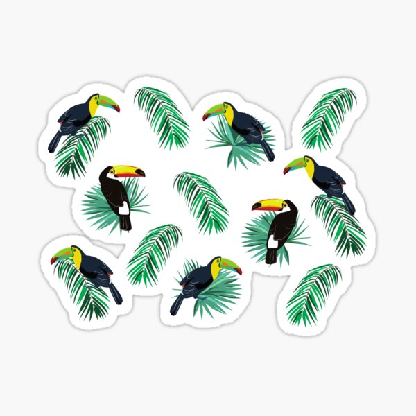 "Toco Toucan bird" Sticker for Sale by Abu-Ryan | Redbubble