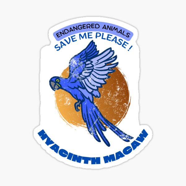 " Hyacinth Macaw" Sticker by yassooarts | Redbubble