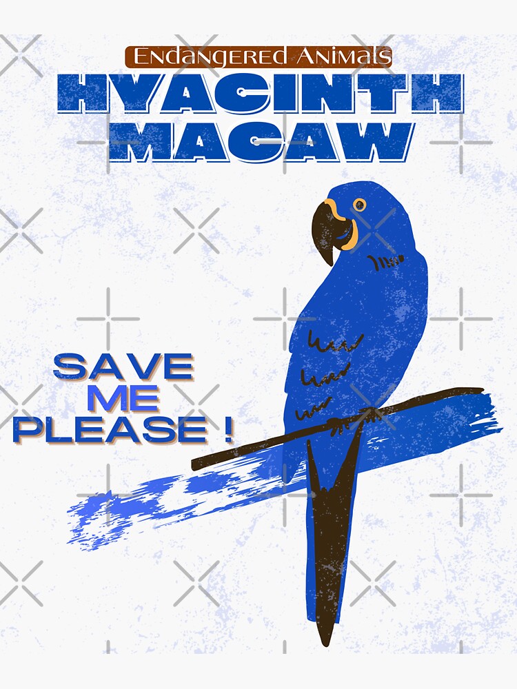 " Hyacinth Macaw" Sticker for Sale by yassooarts | Redbubble