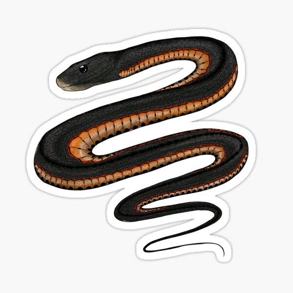 "Black Mamba" Sticker by SophiaMina12 | Redbubble