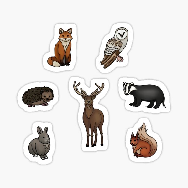 "British Woodland Animals" Sticker for Sale by auristela | Redbubble