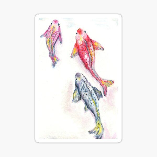 "Koi" Sticker for Sale by BeeGarland | Redbubble