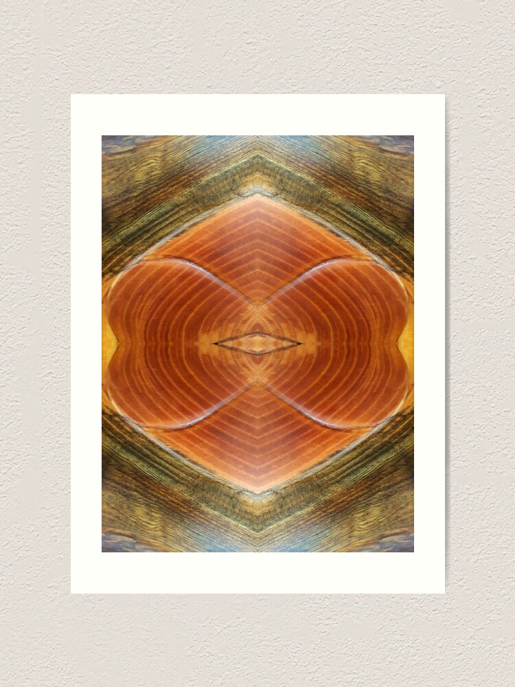 "Wood Grain with Heart by Adelaide Artist Avril Thomas" Art Print for ...