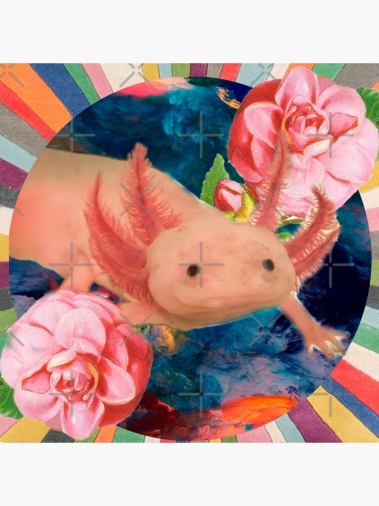 "Cute Axolotl Ajolote" Poster by Llamenba | Redbubble