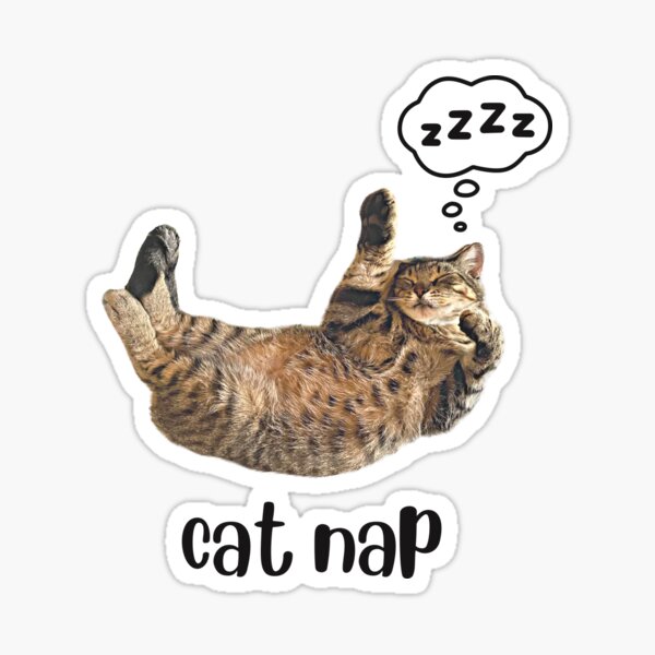 "Cute Tabby Cat Nap - Adorable Sleeping Kitty" Sticker for Sale by ...