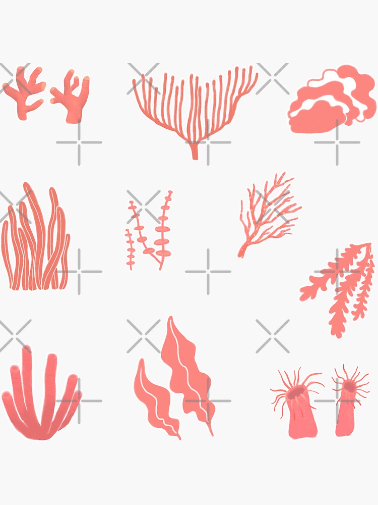"Coral Corals " Sticker for Sale by zzzzkid | Redbubble