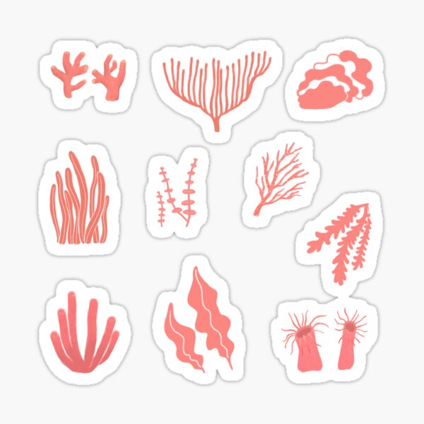 "Coral Corals " Sticker for Sale by zzzzkid | Redbubble
