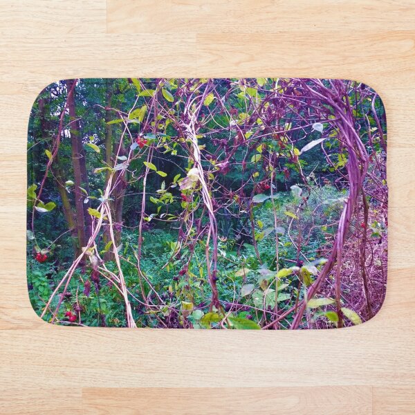 "MI #198 |☼| Ein Gewirr von Zweigen (Elsham Hall, Gardens & Country ...