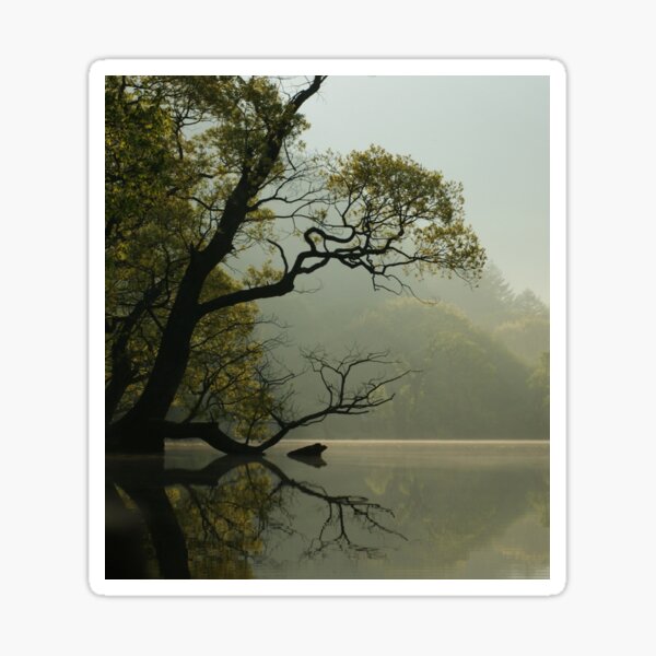 "Nature green tree Aesthetic Wallpaper" Sticker for Sale by Levated ...