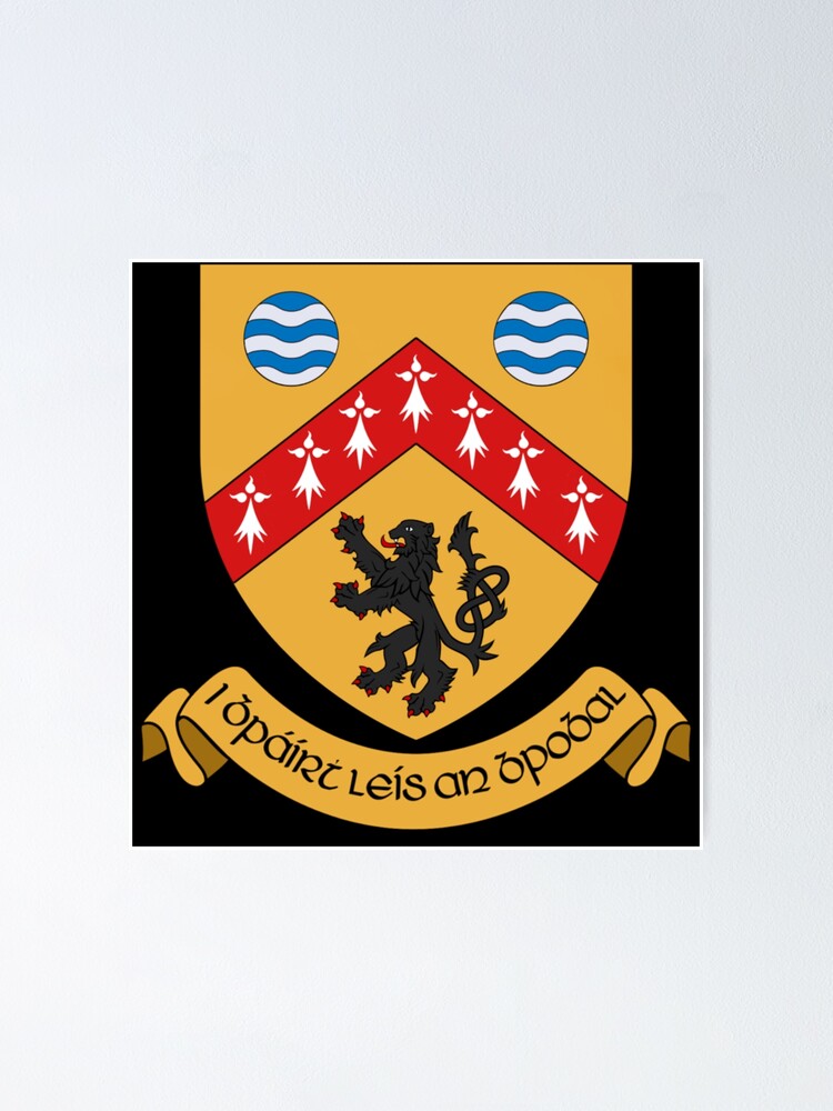 "Coat of Arms of County Laois" Poster for Sale by Shav | Redbubble