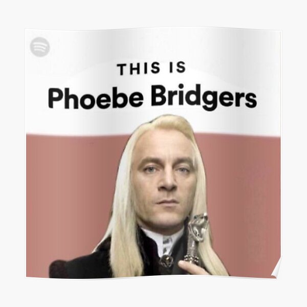 "Phoebe Bridgers Meme " Poster for Sale by heatherjel | Redbubble