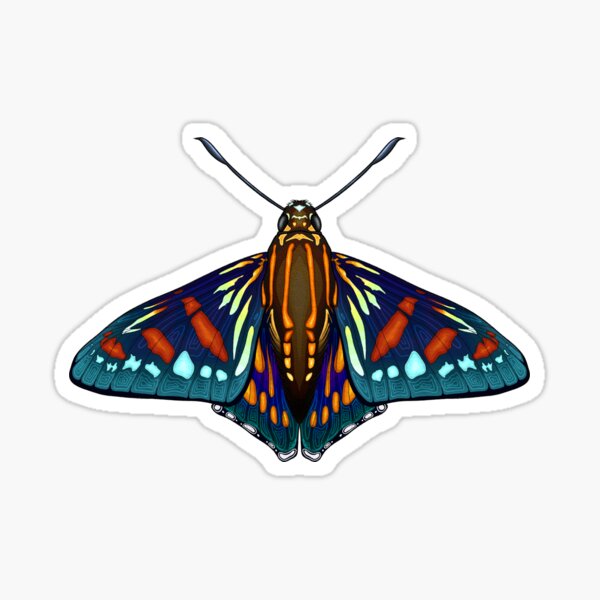 "Amber Paradise Skipper - Phocides oreides " Sticker for Sale by ...