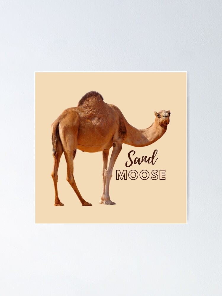 "Sand Moose Camel" Poster for Sale by RebekahLanden | Redbubble