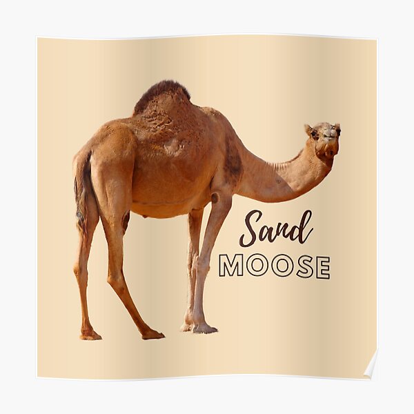 "Sand Moose Camel" Poster for Sale by RebekahLanden | Redbubble