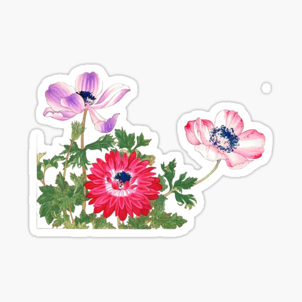 "Poppies by Seyo Soka" Sticker for Sale by Mungsprout | Redbubble