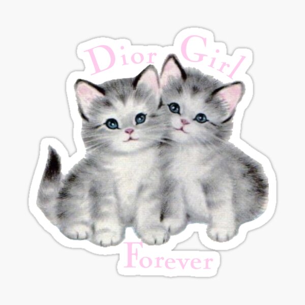 "forever cats " Sticker for Sale by amouralexandra | Redbubble
