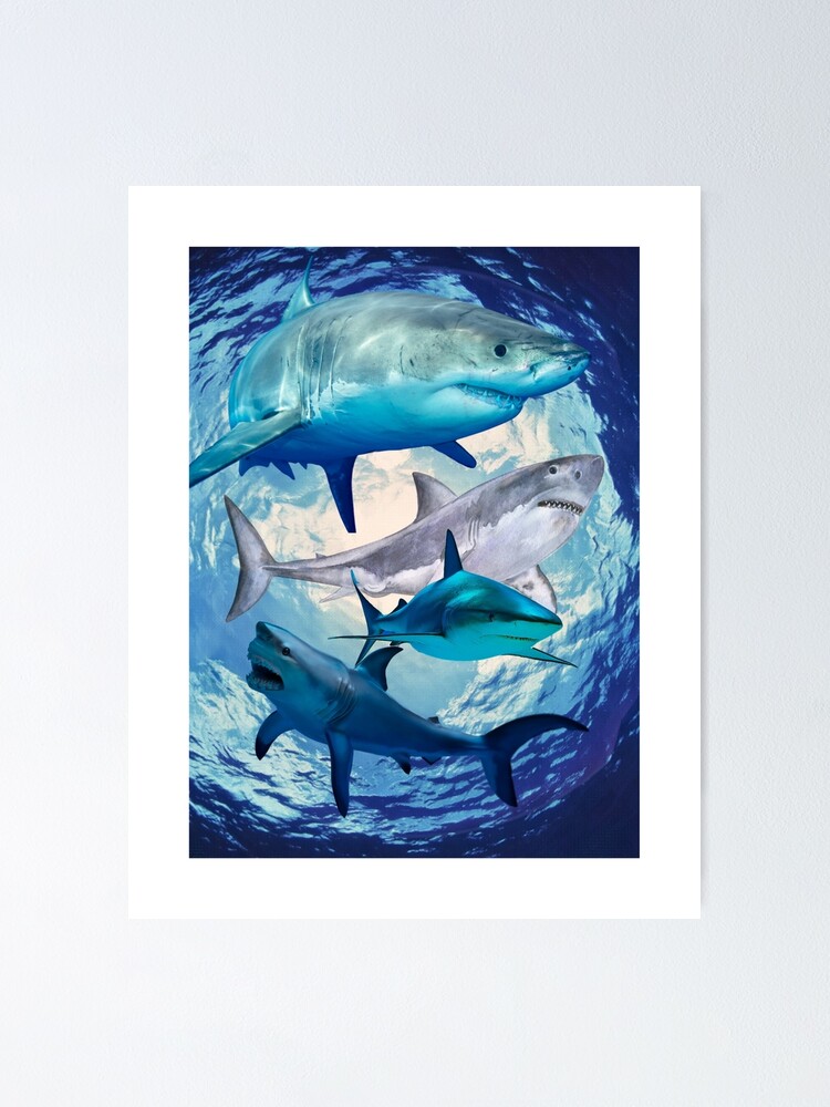 "Sharkcano Underwater Shark Volcano" Poster for Sale by tontodesign ...