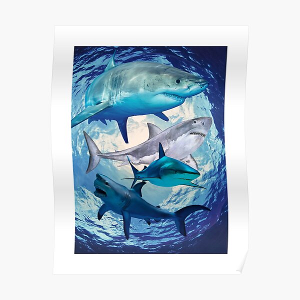 "Sharkcano Underwater Shark Volcano" Poster for Sale by tontodesign ...
