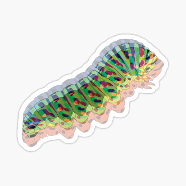 "Caterpillar" Sticker for Sale by Gabbyezell | Redbubble