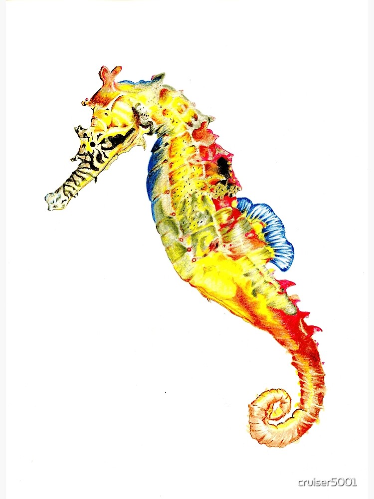 "Rainbow seahorse" Poster by cruiser5001 | Redbubble