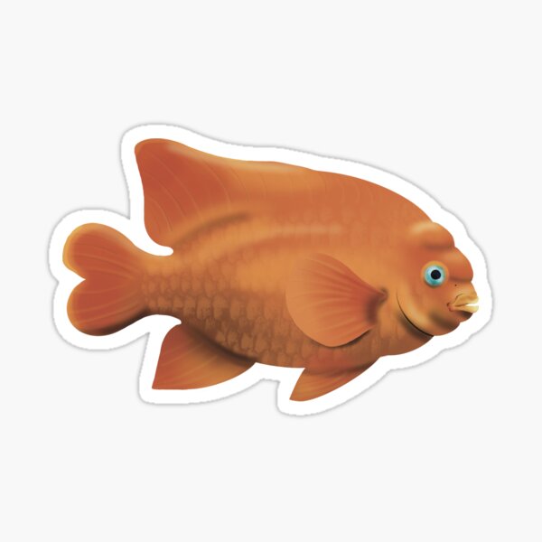 "Garibaldi Fish" Sticker for Sale by julianacc | Redbubble