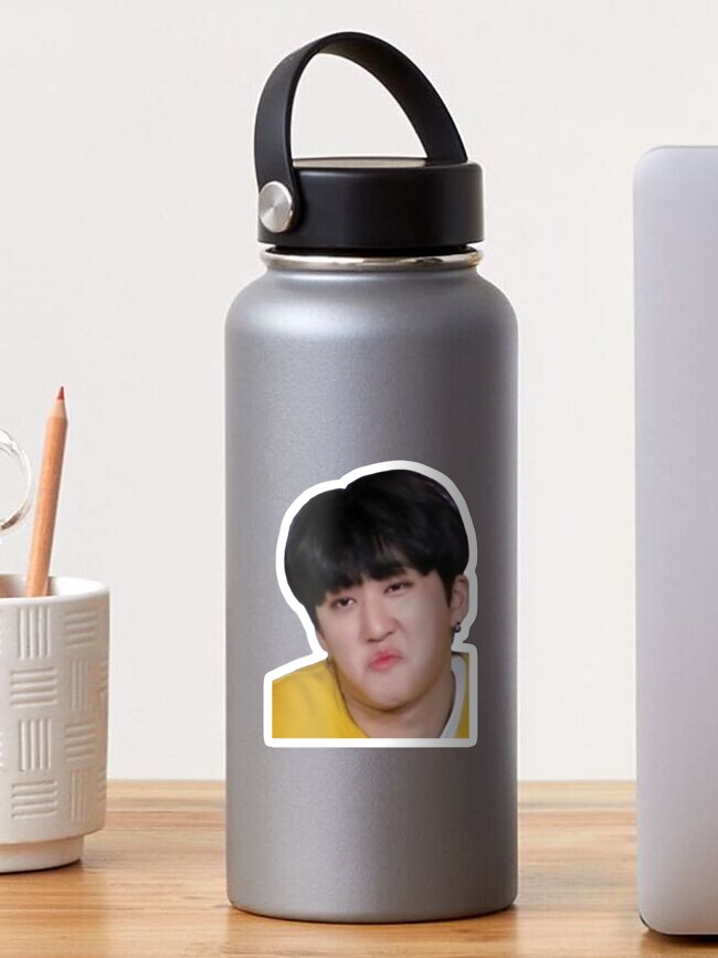 "Stray Kids Funny Changbin Meme" Sticker for Sale by kpopnow | Redbubble